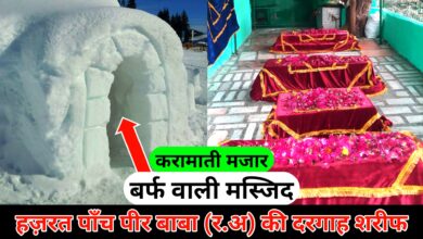 Hazrat Lotan Shah Baba Mamu Bhanje Ki Dargah Sharif Ajmer hazrul remo