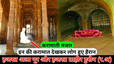 Hazrat Lotan Shah Baba Mamu Bhanje Ki Dargah Sharif Ajmer hazrul remo